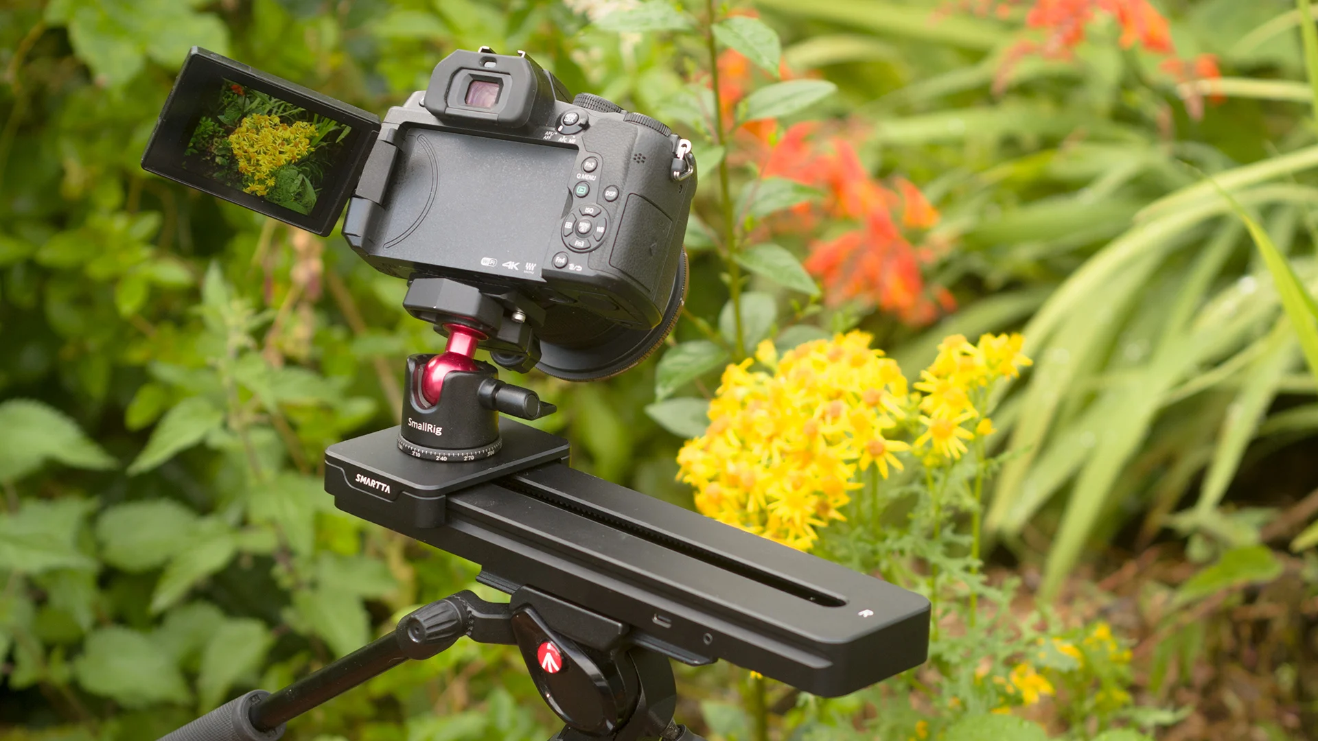 Top 5 Camera Sliders for Filmmakers - Muse Symphony
