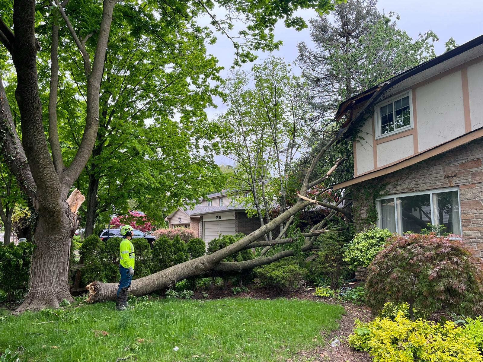 10 Powerful Ways to Prevent Storm Damage and Protect Your Property
