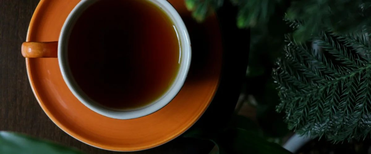 10 Steps to Create the Best Green Tea Deodorant for Dark Spots - Muse ...