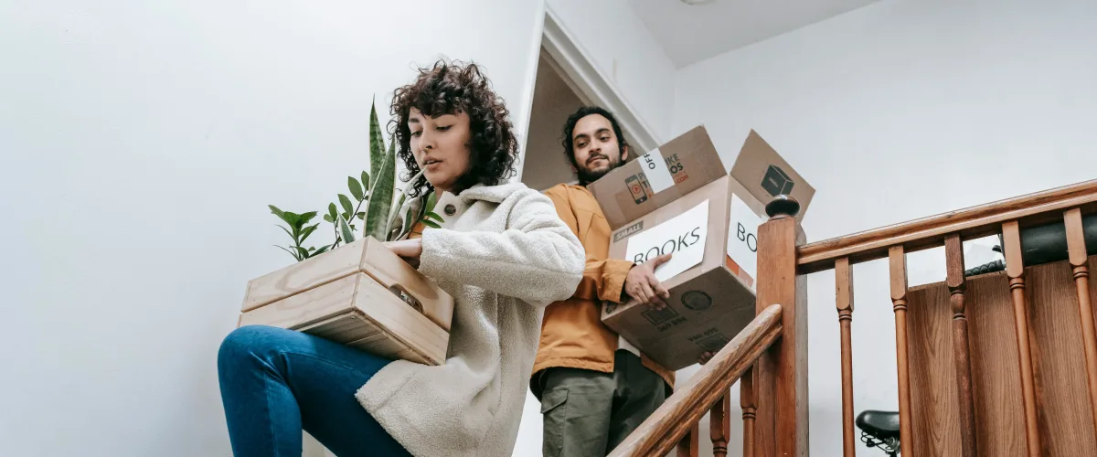 9 Steps to a Quick Fix for Creaky Stairs - Muse Symphony